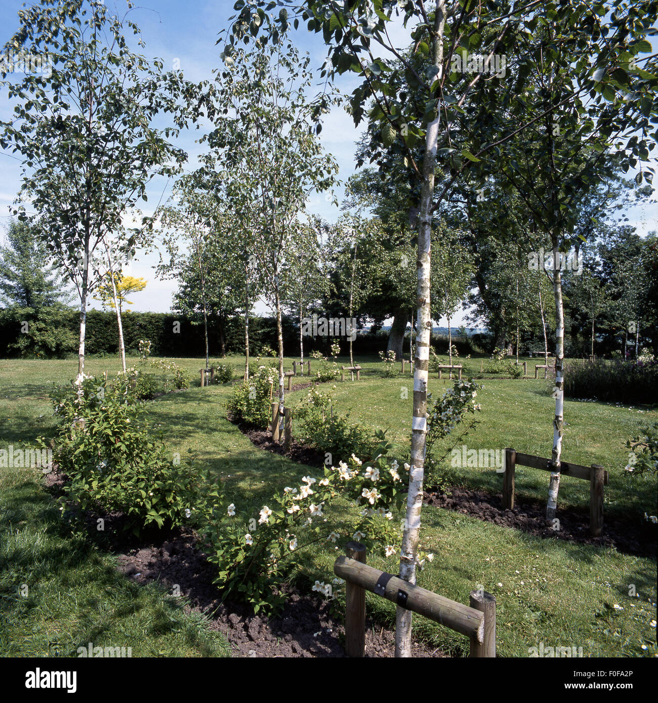 Suffolk garden hi-res stock photography and images - Alamy