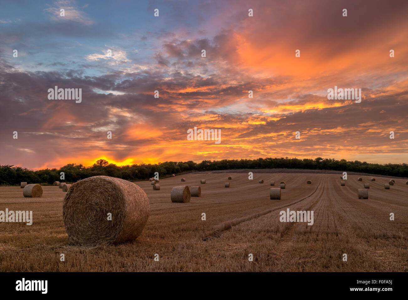 Hay bales sunset Stock Photo - Alamy