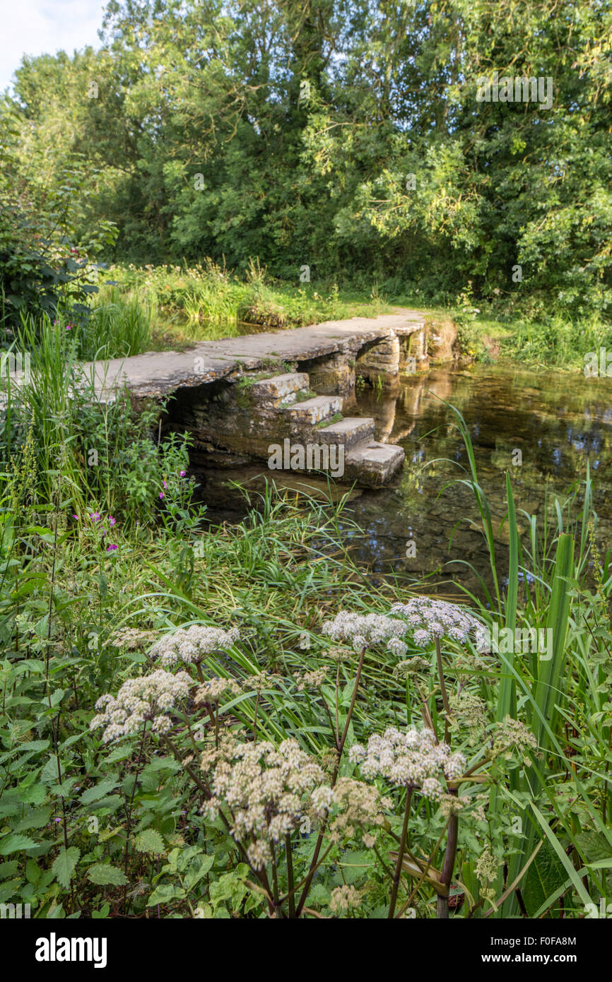 The stone clapper bridge that crosses the river Leach between Eastleach ...