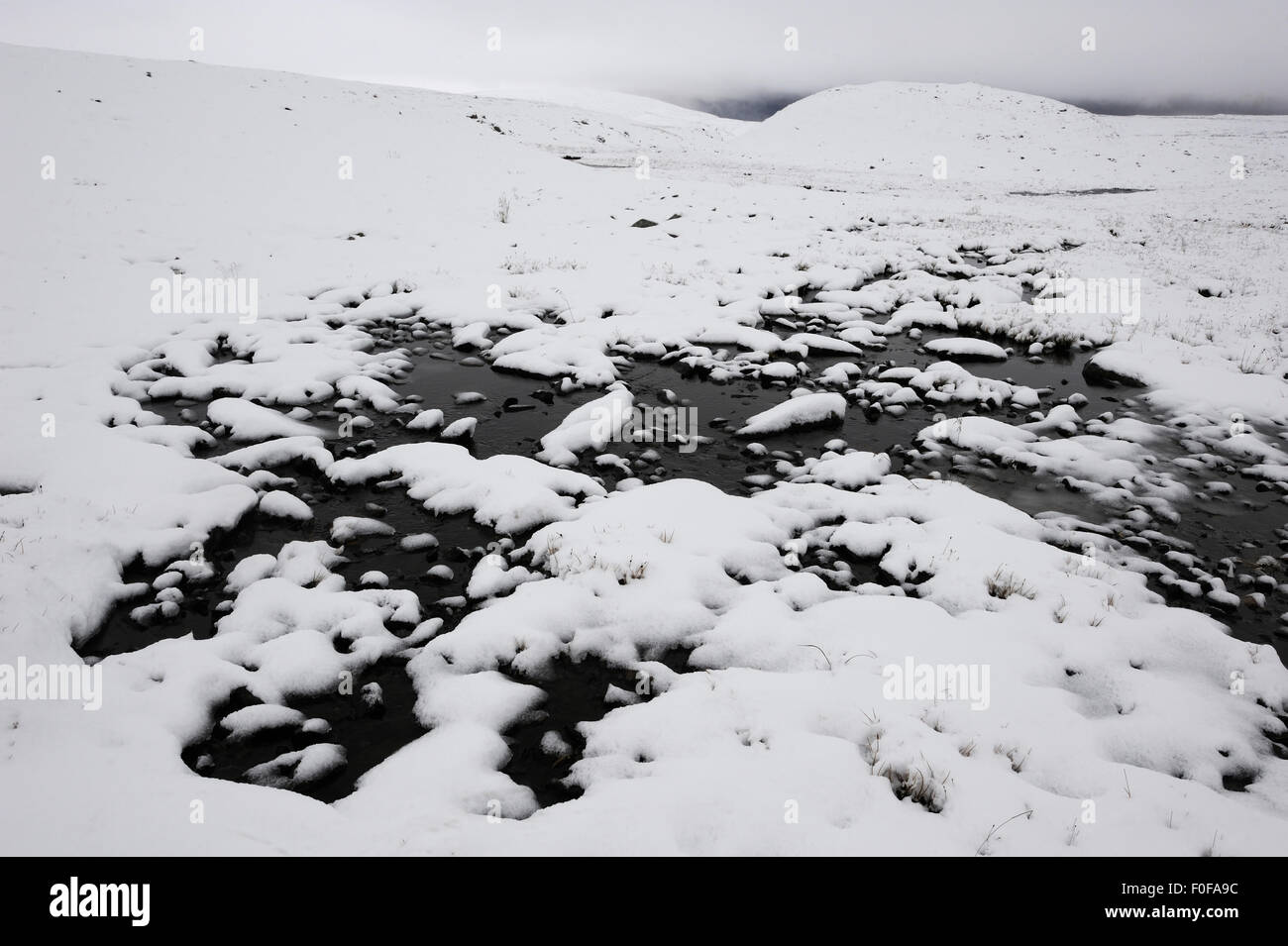 Bog covered in snow with patches of water visible, Forollhogna National ...
