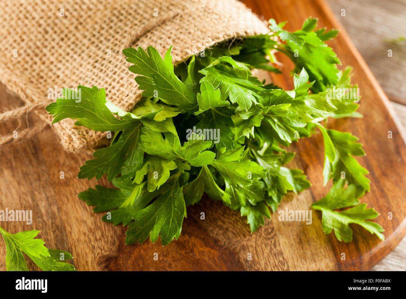 Organic Italian Flat Leaf Parsley Ready to Eat Stock Photo - Alamy