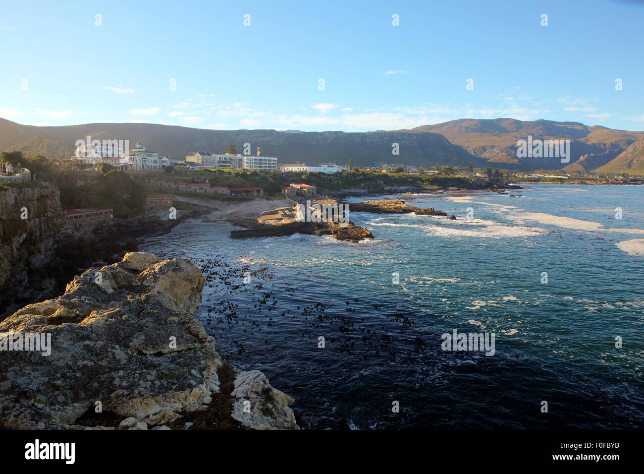 Hermanus town hi-res stock photography and images - Alamy