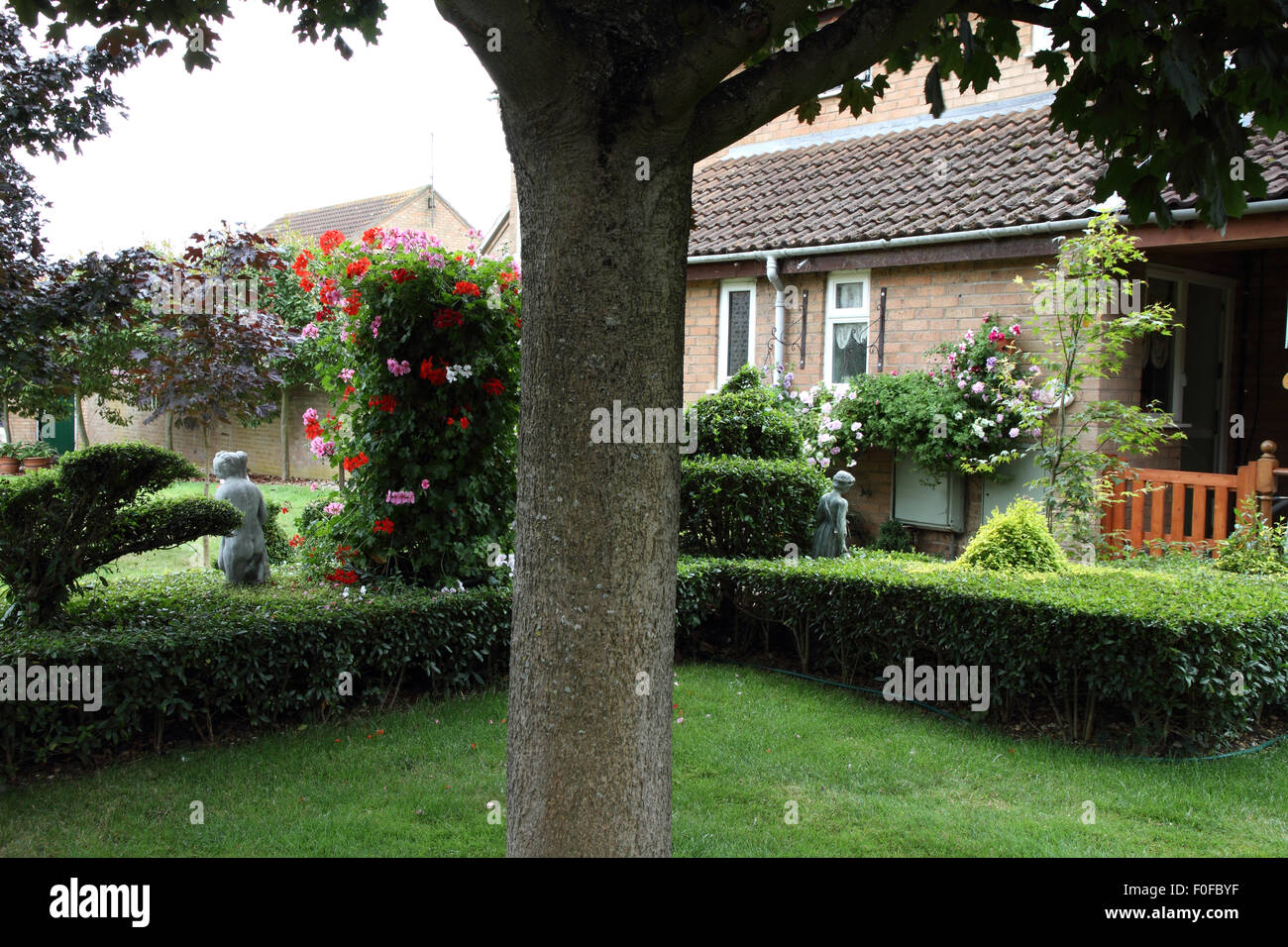 Neat front garden hedge with topiary Stock Photo - Alamy
