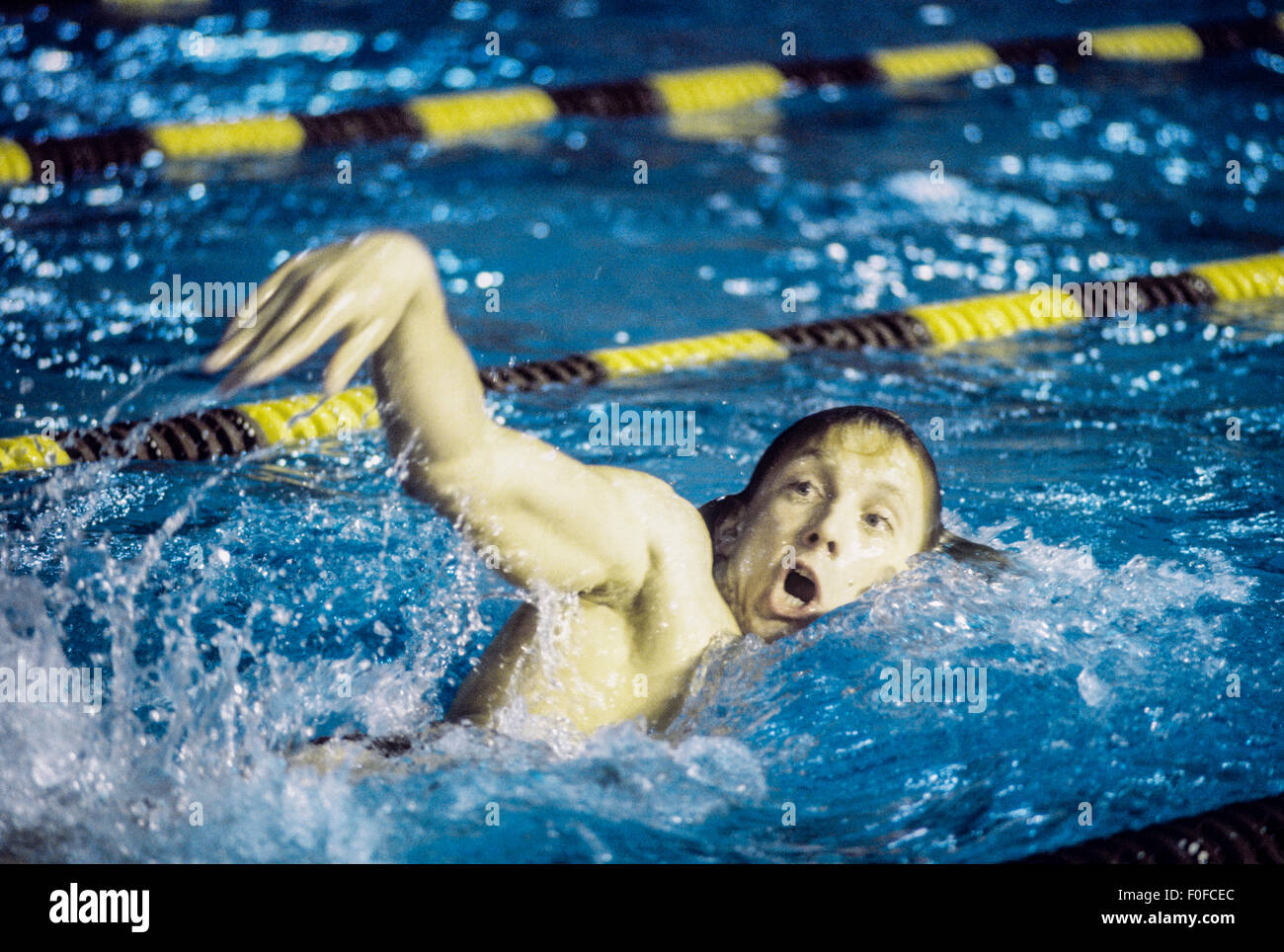 Shaw hi-res stock photography and images - Alamy