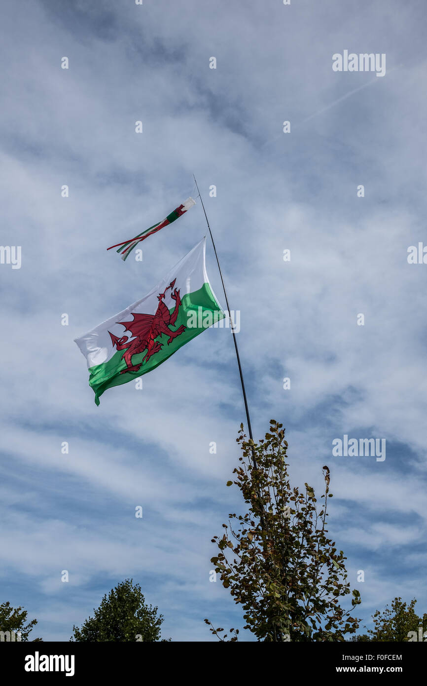 Welsh flag flying against a blue sky Stock Photo - Alamy