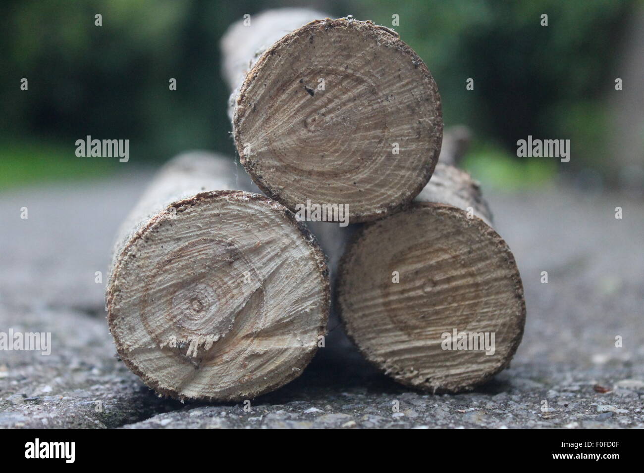 Stack of Firewood Stock Photo - Alamy