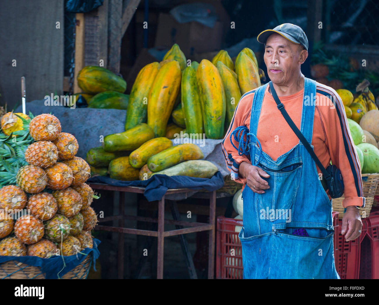 Guatemalan maya man portrait hi-res stock photography and images - Alamy