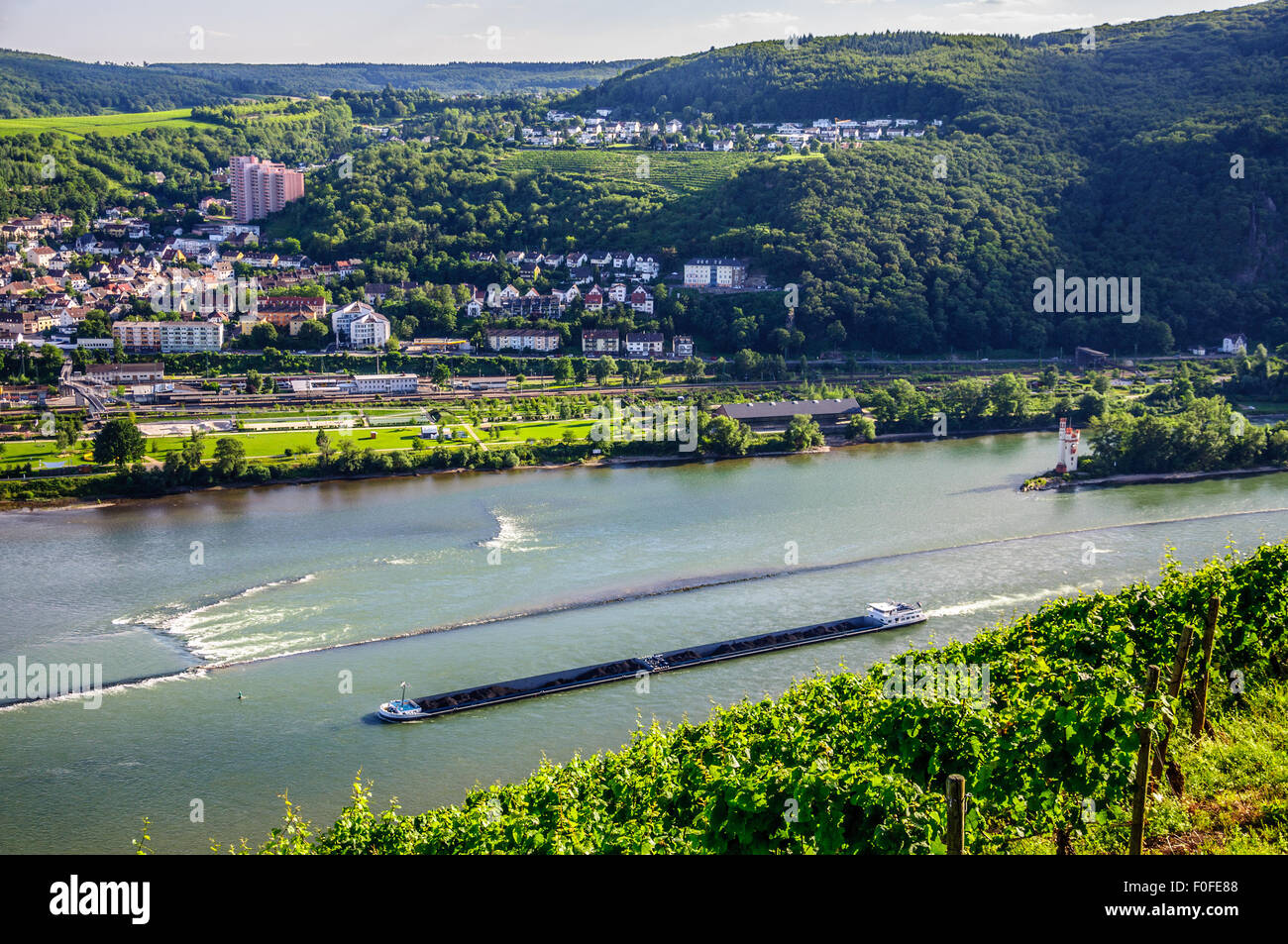 Extra long barge ship is transporting coal on Rhine river near B Stock ...