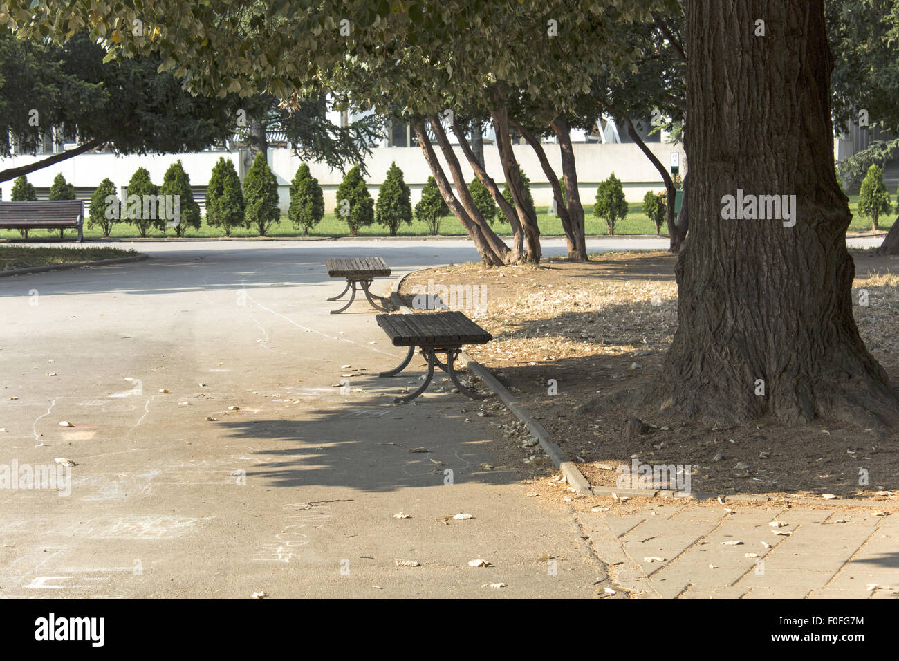 Park with benches in shade of a tree Stock Photo - Alamy