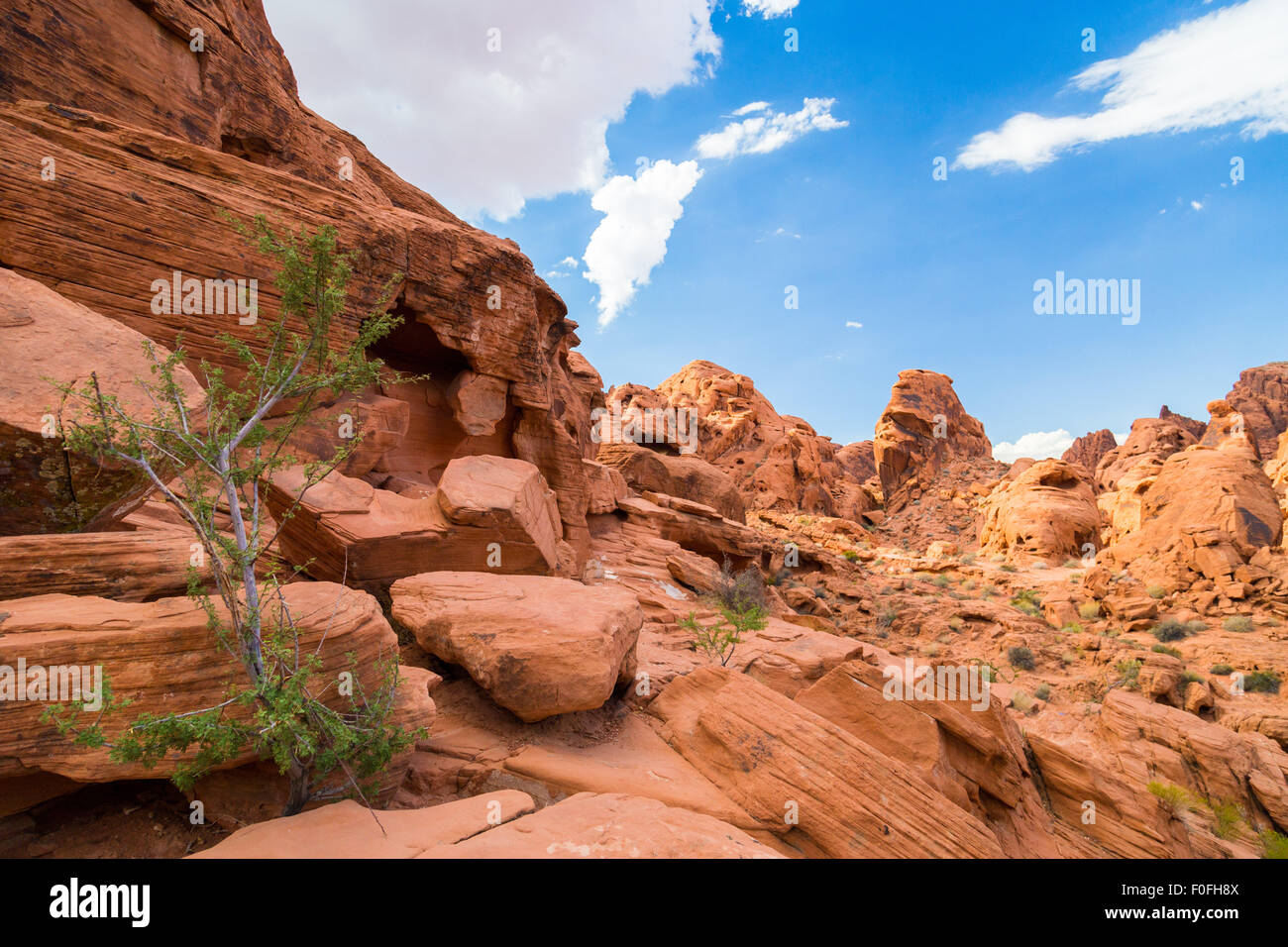 Red Rock Landscape, Valley of Fire State Park, Nevada, USA Stock Photo ...