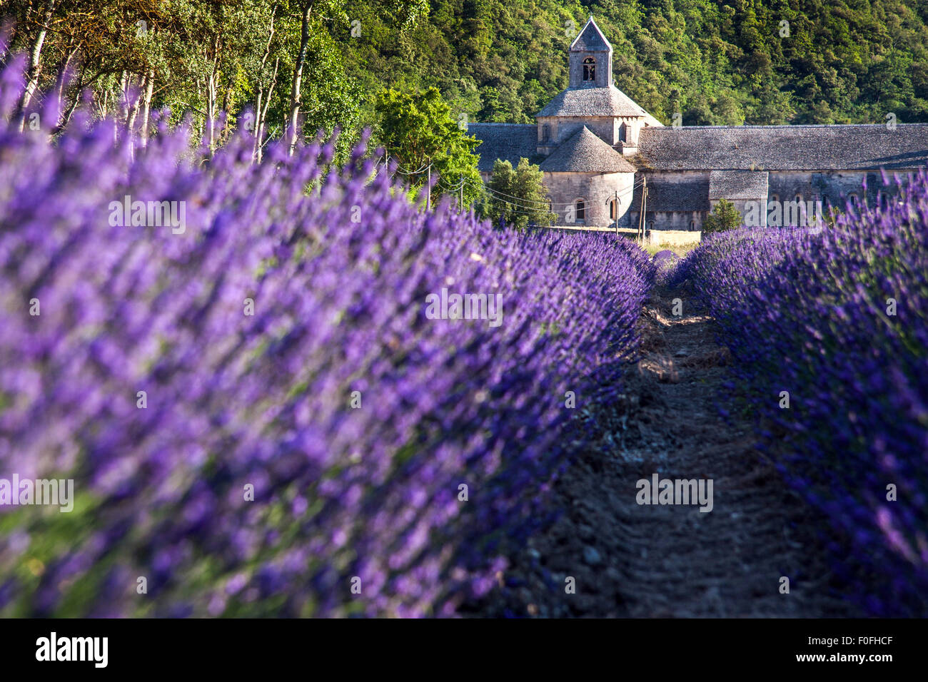 The 12th century Romanesque Cistercian Abbey of Notre Dame of Senanque ...