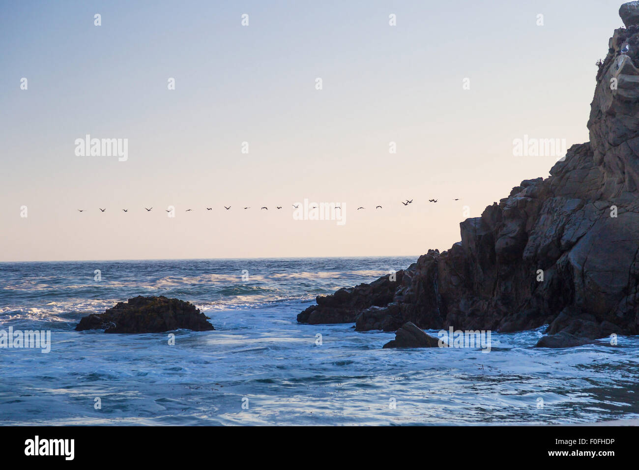 Birds flock california hi-res stock photography and images - Alamy