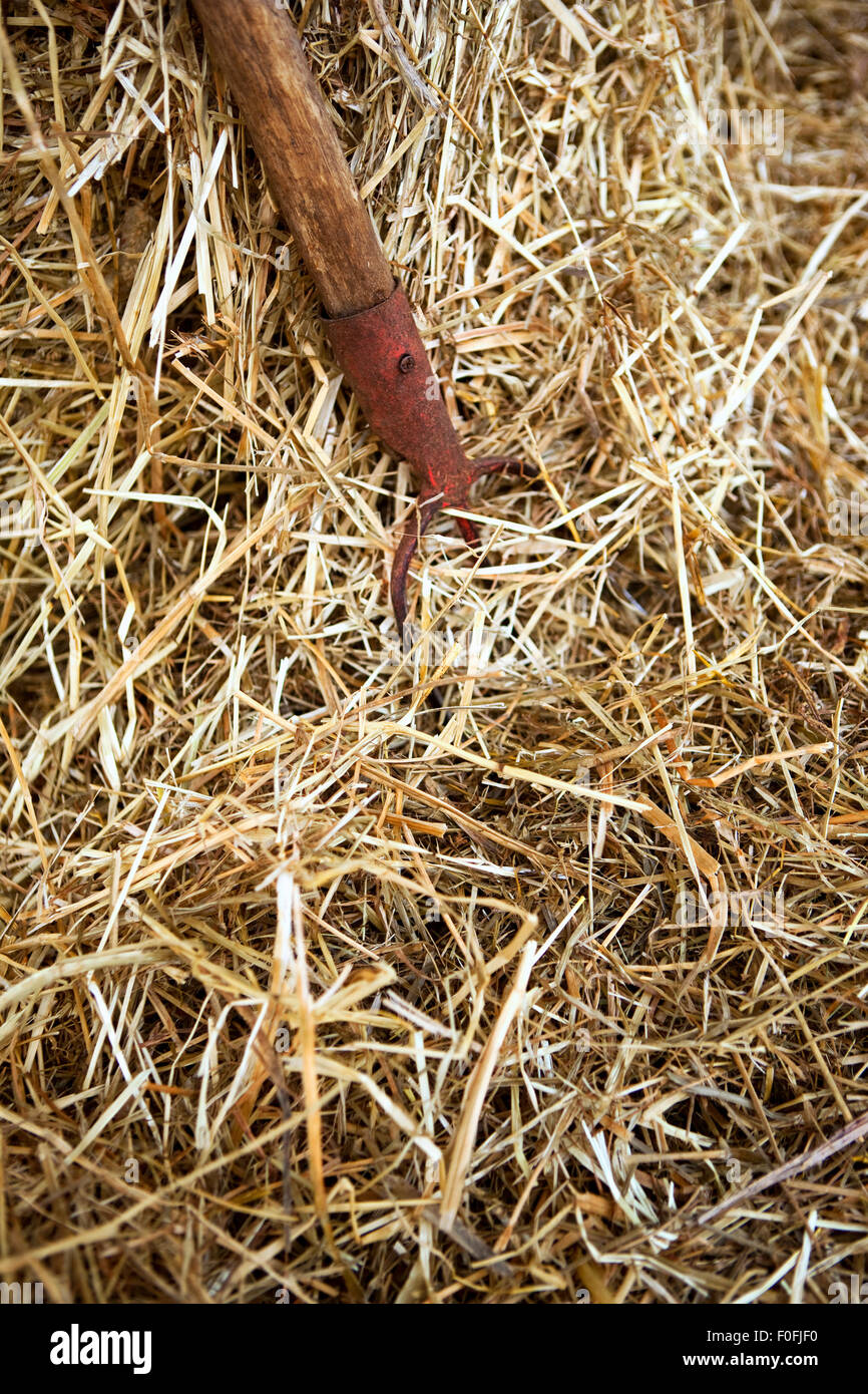 Fork and straw in a farm barn Stock Photo - Alamy