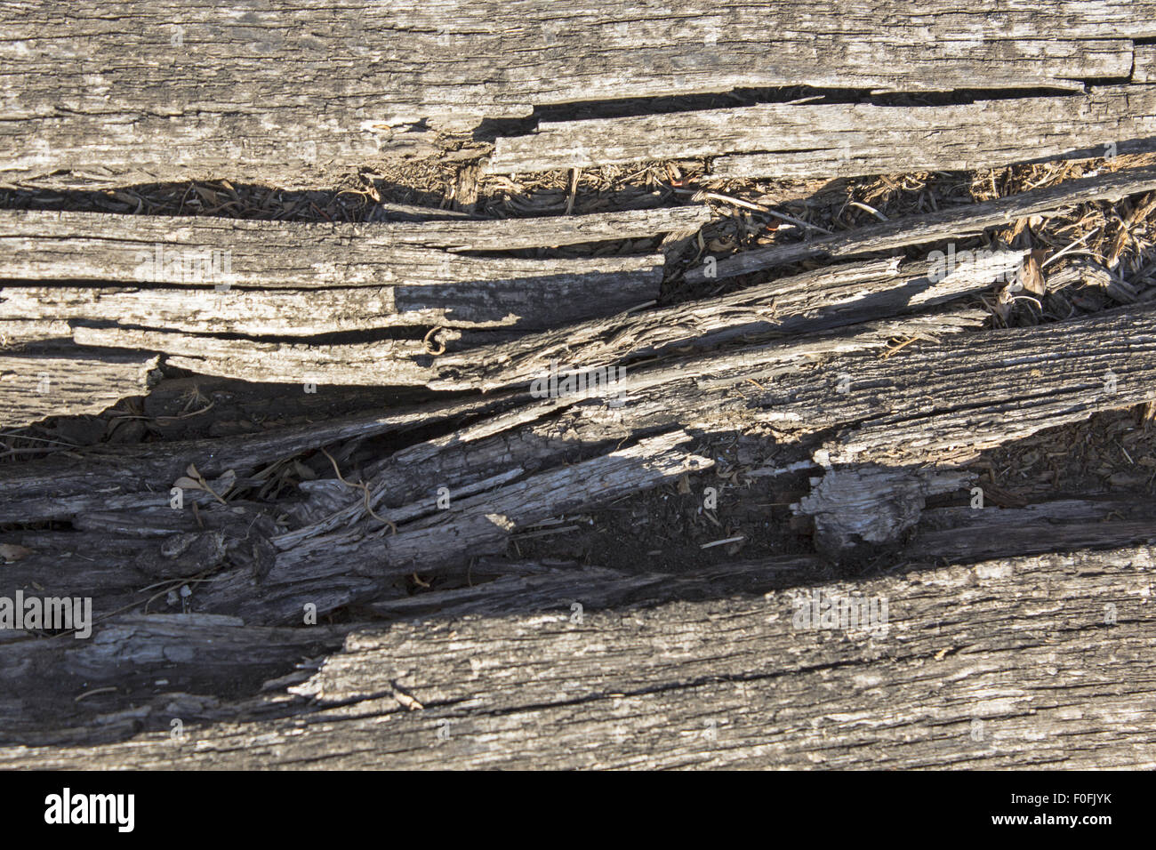 Rotten plank hi-res stock photography and images - Alamy