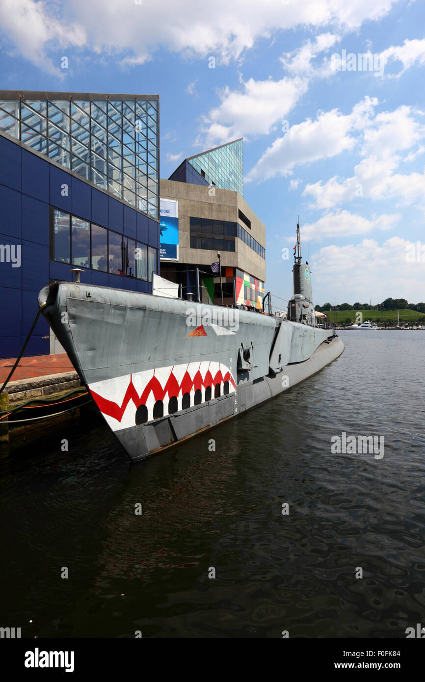 Uss tench hi-res stock photography and images - Alamy