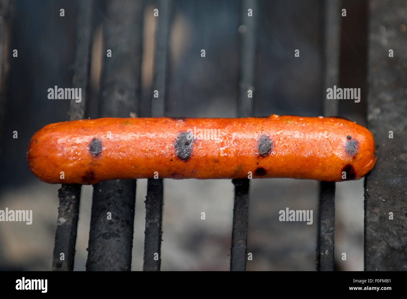 Close up of a Hot Dog on a campfire grill Stock Photo - Alamy