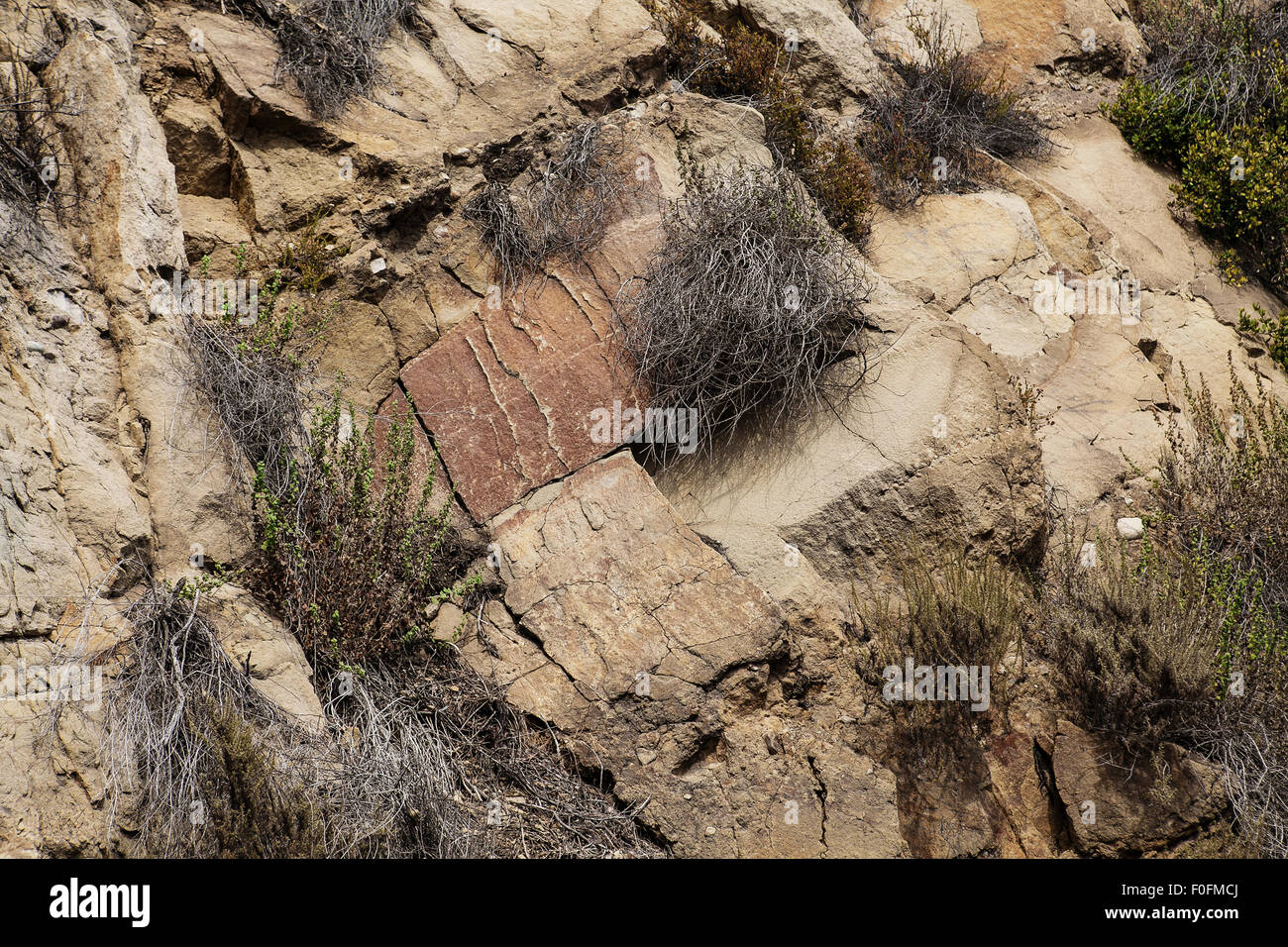 Dry wild grass growing amid jumble of orange granite rocks as texture ...