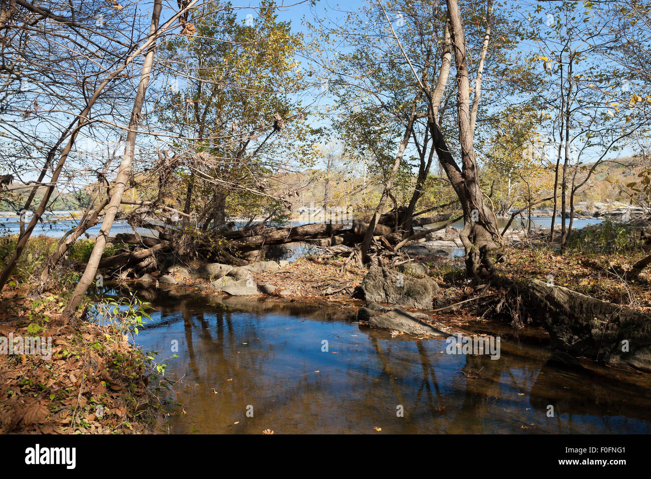 Potomac River in the Autumn - Virginia, USA Stock Photo - Alamy