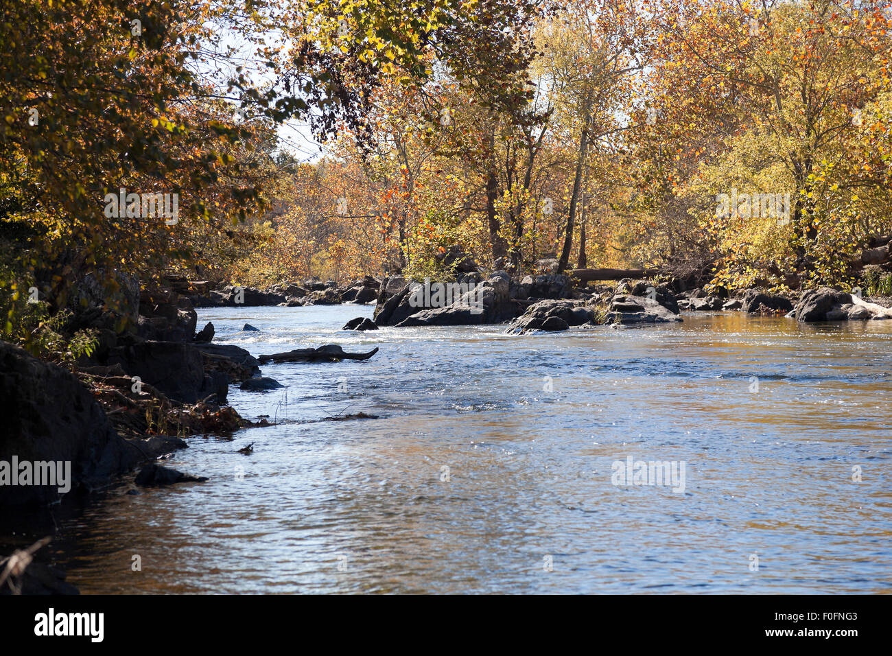 Potomac River in the Autumn - Virginia, USA Stock Photo - Alamy