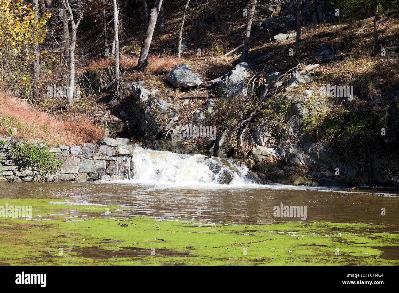 Potomac River in the Autumn - Virginia, USA Stock Photo - Alamy