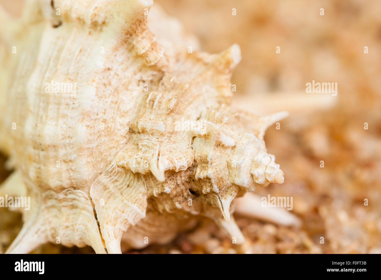 Coarse sand hi-res stock photography and images - Alamy