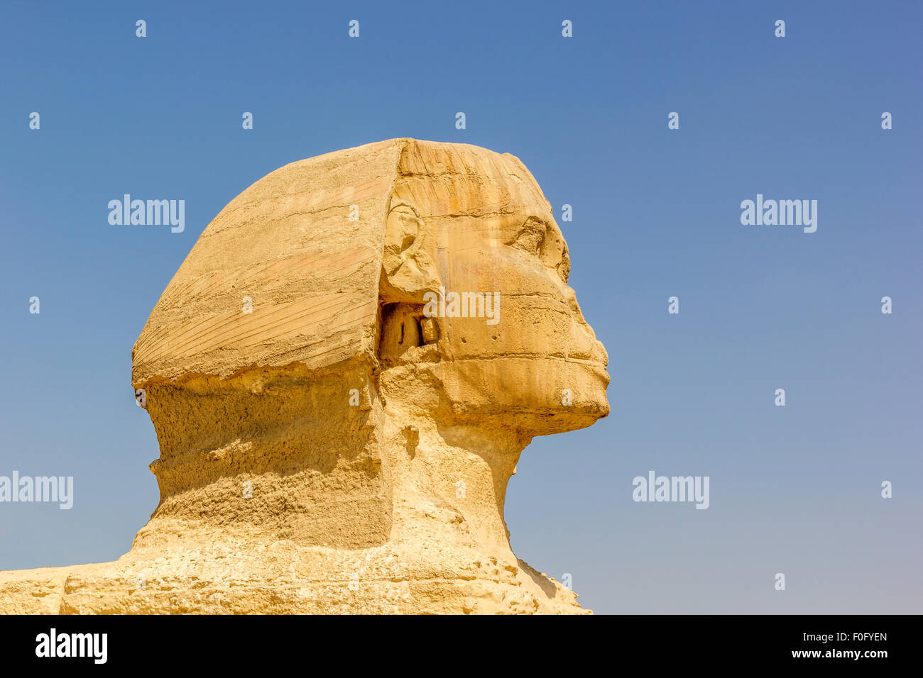 Sphinx egypt detail hi-res stock photography and images - Alamy