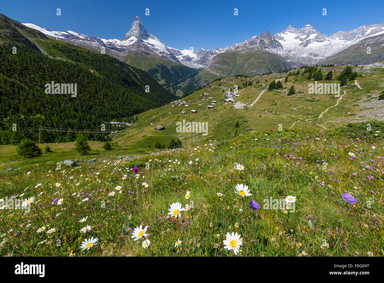 The matterhorn in summer hi-res stock photography and images - Alamy