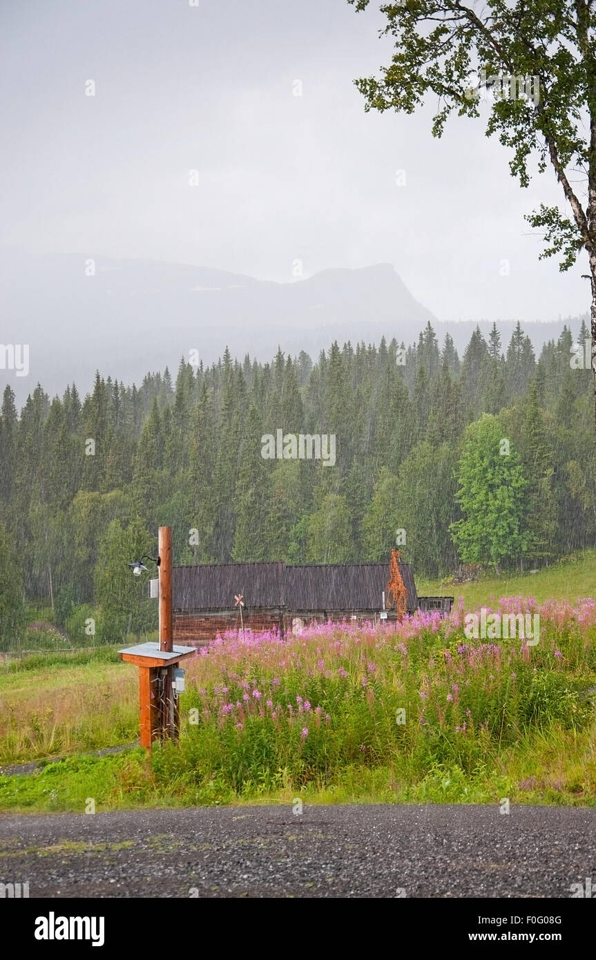 Swedish scenery hi-res stock photography and images - Alamy