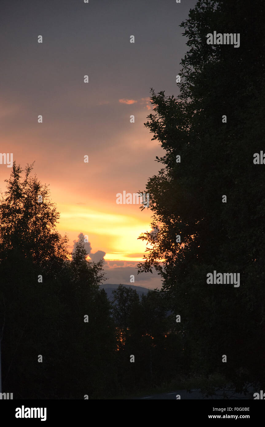 Sunset treetops. Scenic landscape near Ostersund in Northern Sweden on ...