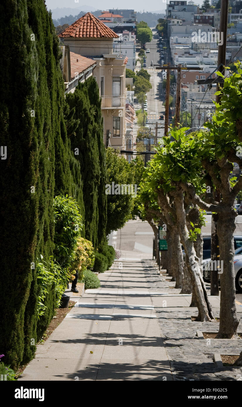 Walking down a tree-lined street in San Francisco Stock Photo - Alamy