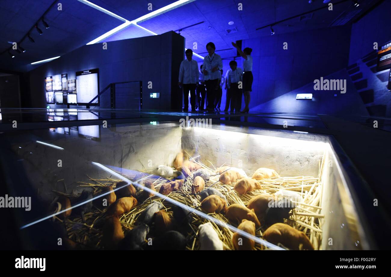 Unit 731 Haunted Movie