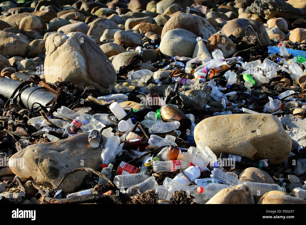 Empty soda bottles hi-res stock photography and images - Alamy