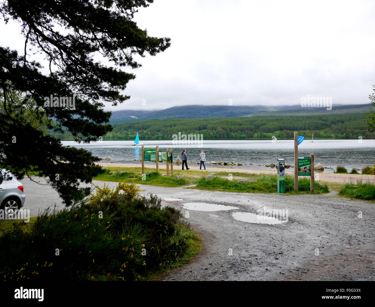 Morlic hi-res stock photography and images - Alamy