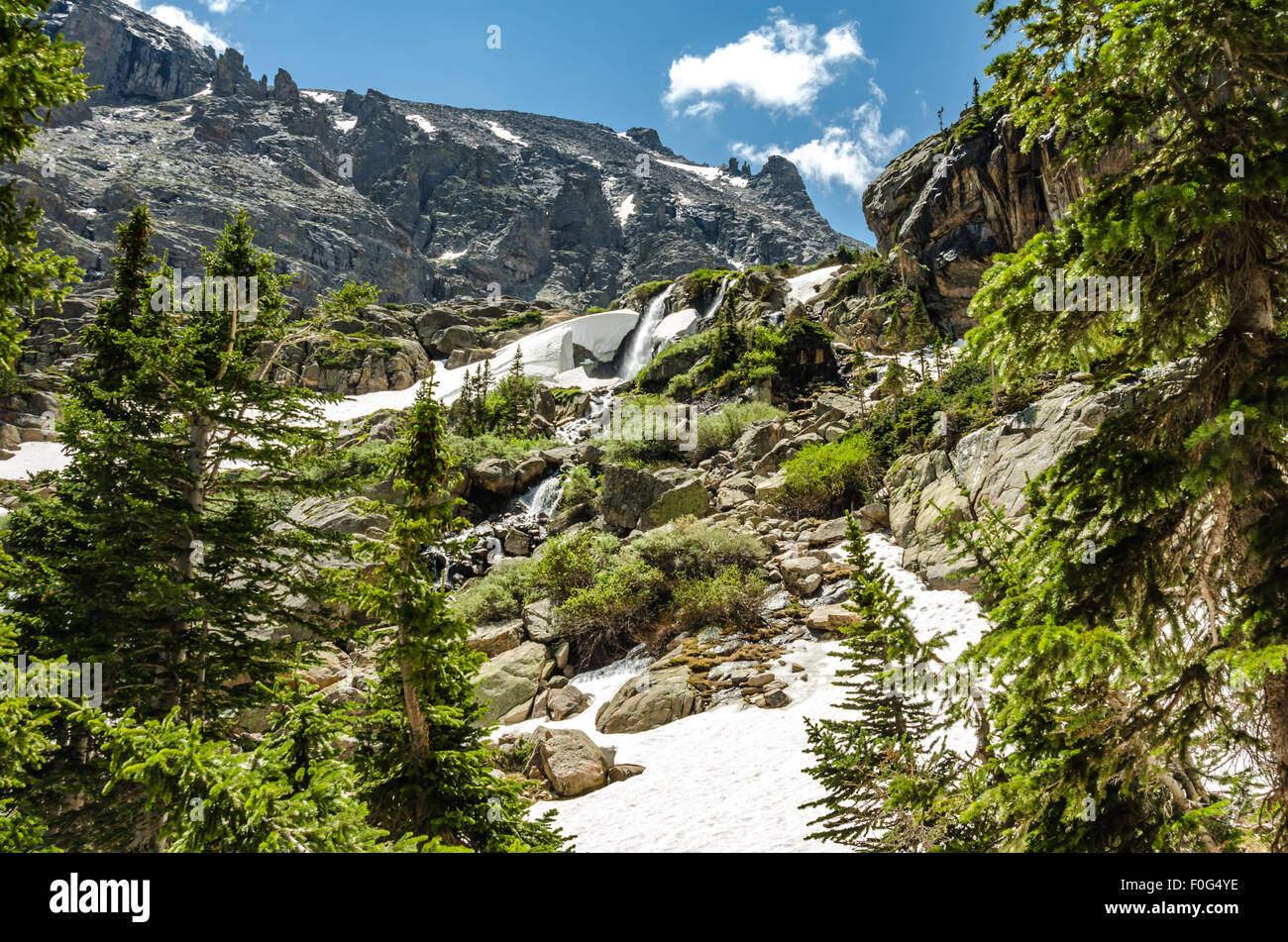 Over timberline hi-res stock photography and images - Alamy