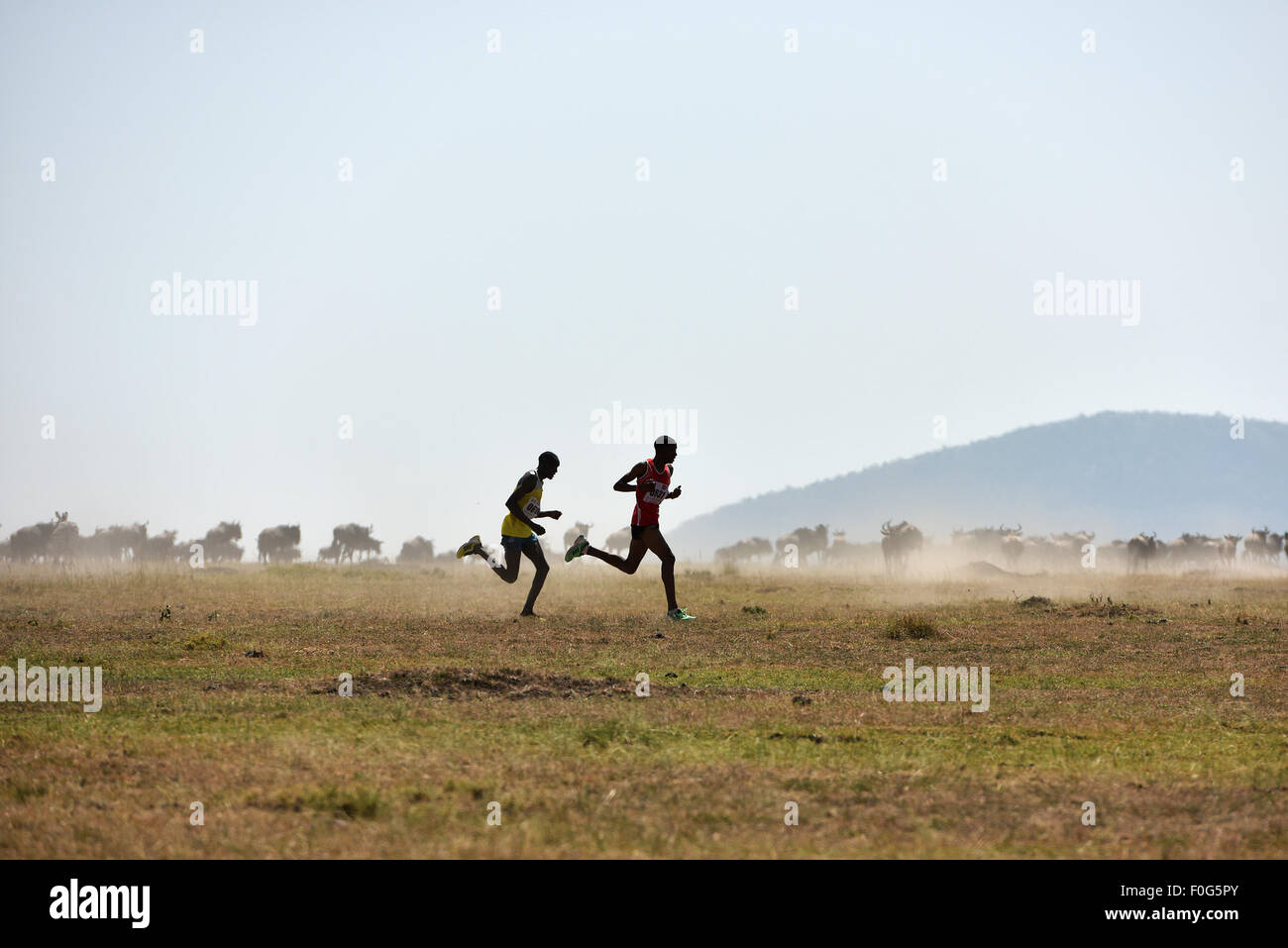 Masai Mara, Kenya. 15th Aug, 2015. Athletes run during the Masai Mara ...