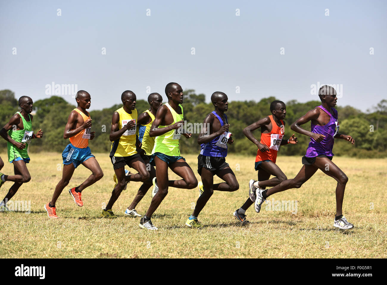 Masai Mara, Kenya. 15th Aug, 2015. Athletes run during the Masai Mara ...