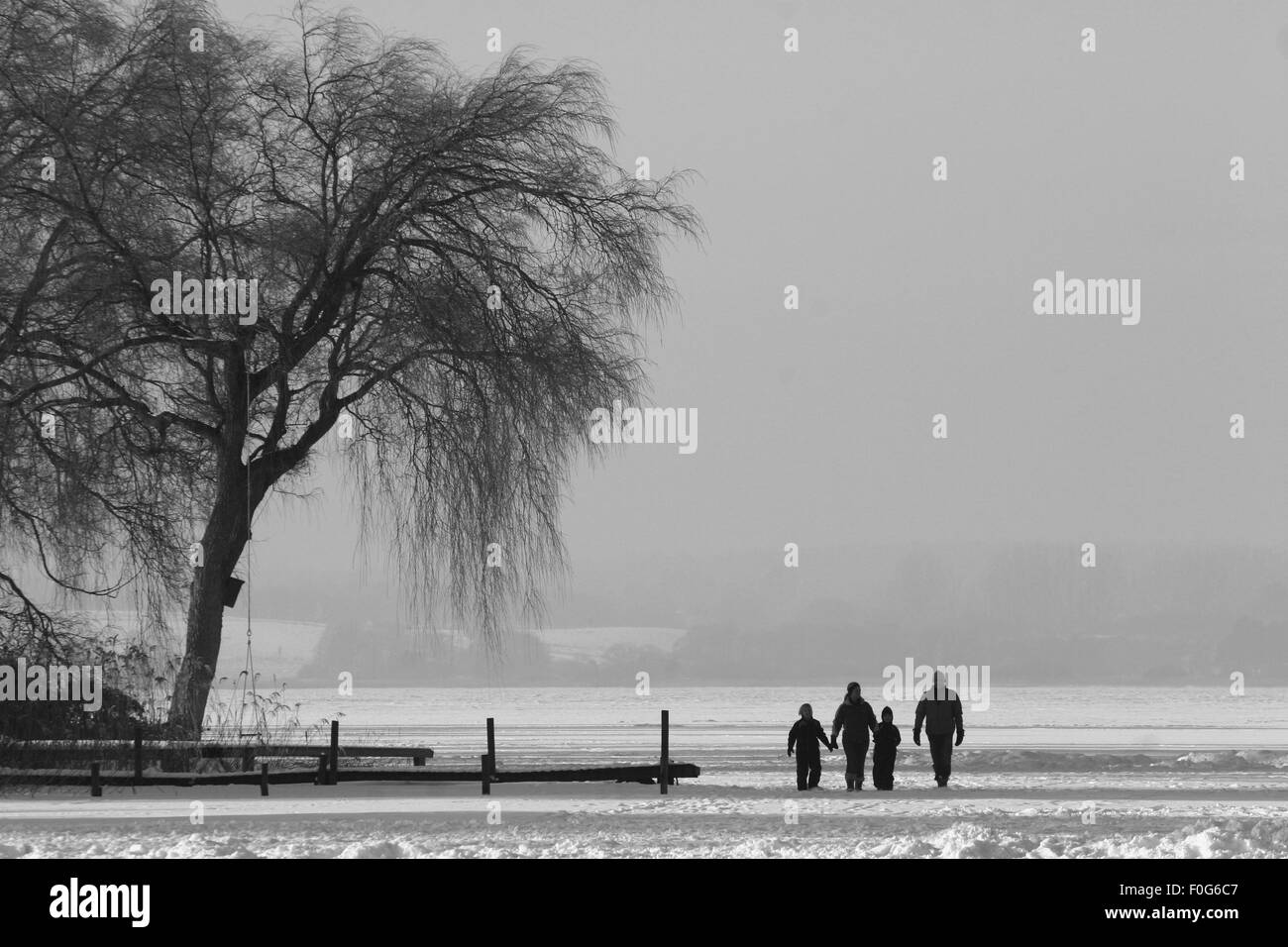Kids on tree in Black and White Stock Photos & Images - Alamy