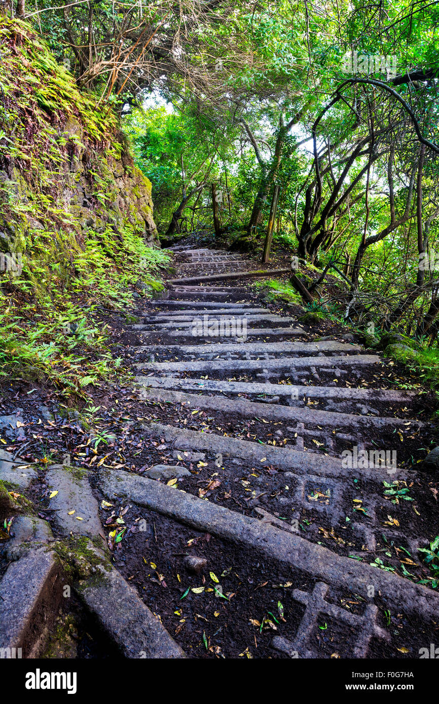 Muddy mountain trail hi-res stock photography and images - Alamy
