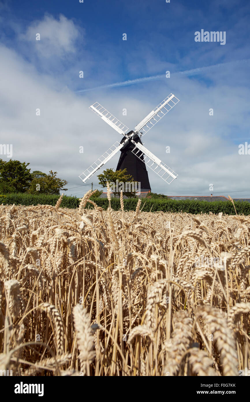 Windmill wheat field hi-res stock photography and images - Alamy