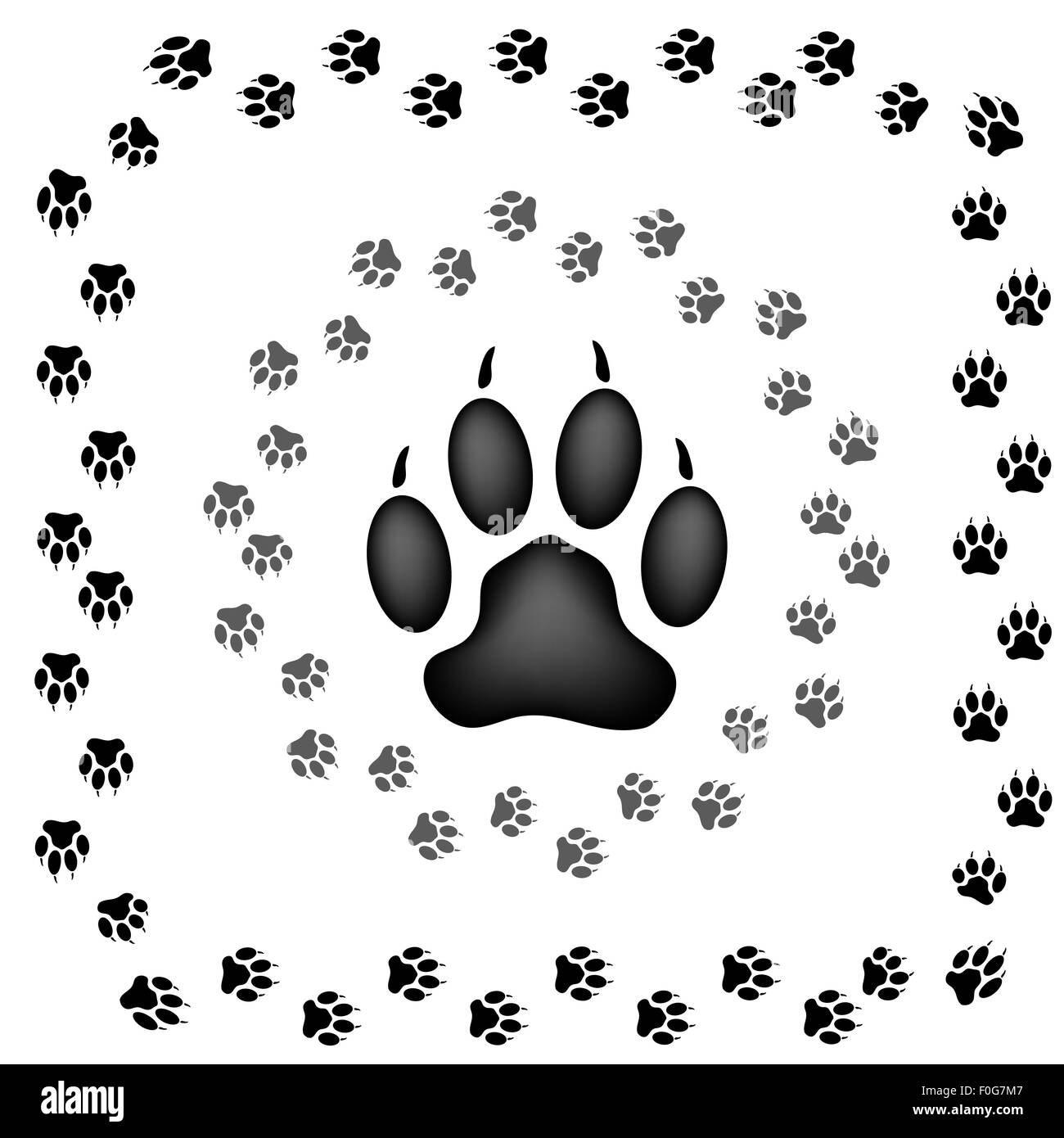 Tiger paw prints Black and White Stock Photos & Images - Alamy
