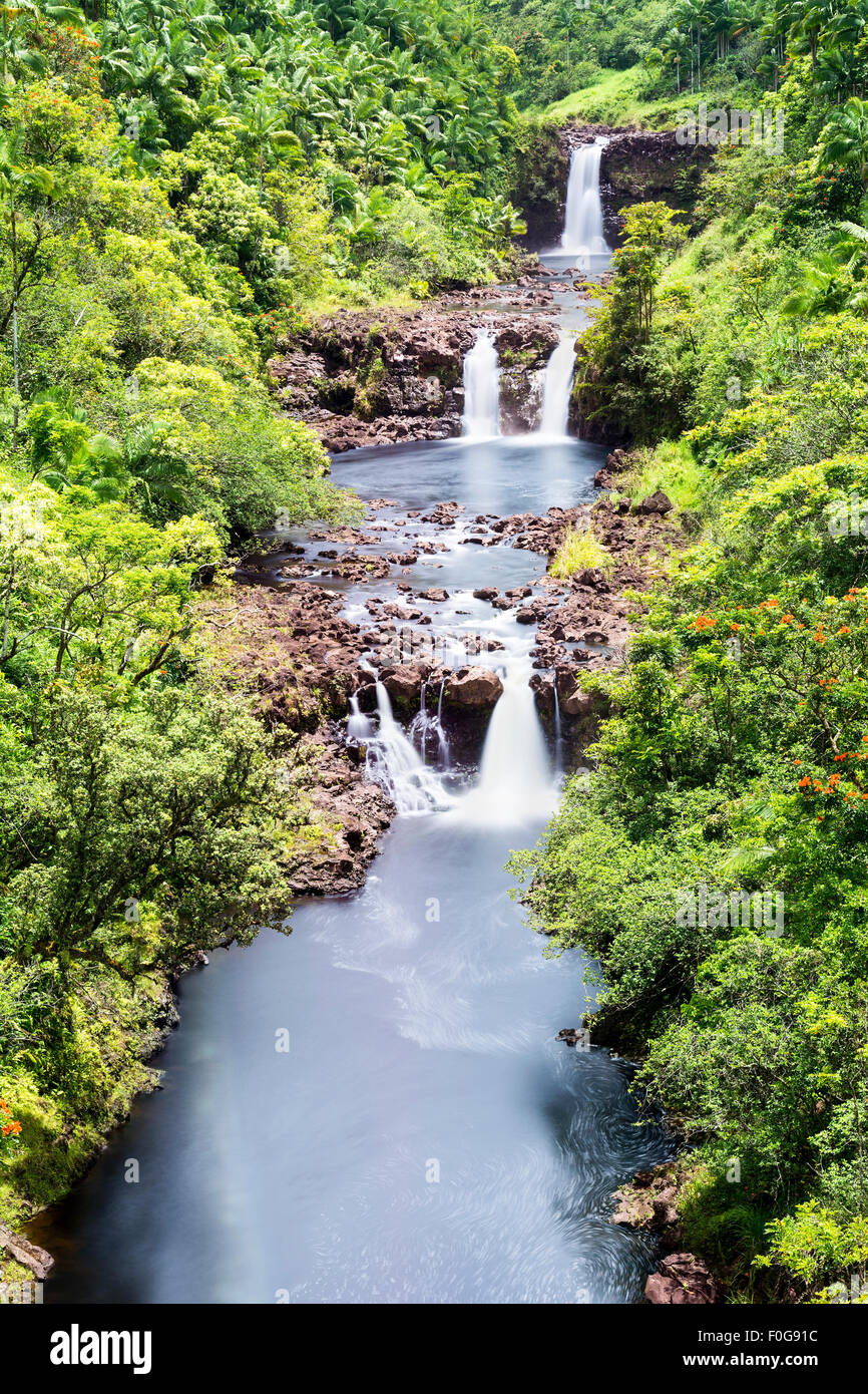 A vibrant image of Umauma Falls in Hawaii shows the three tier cascade ...