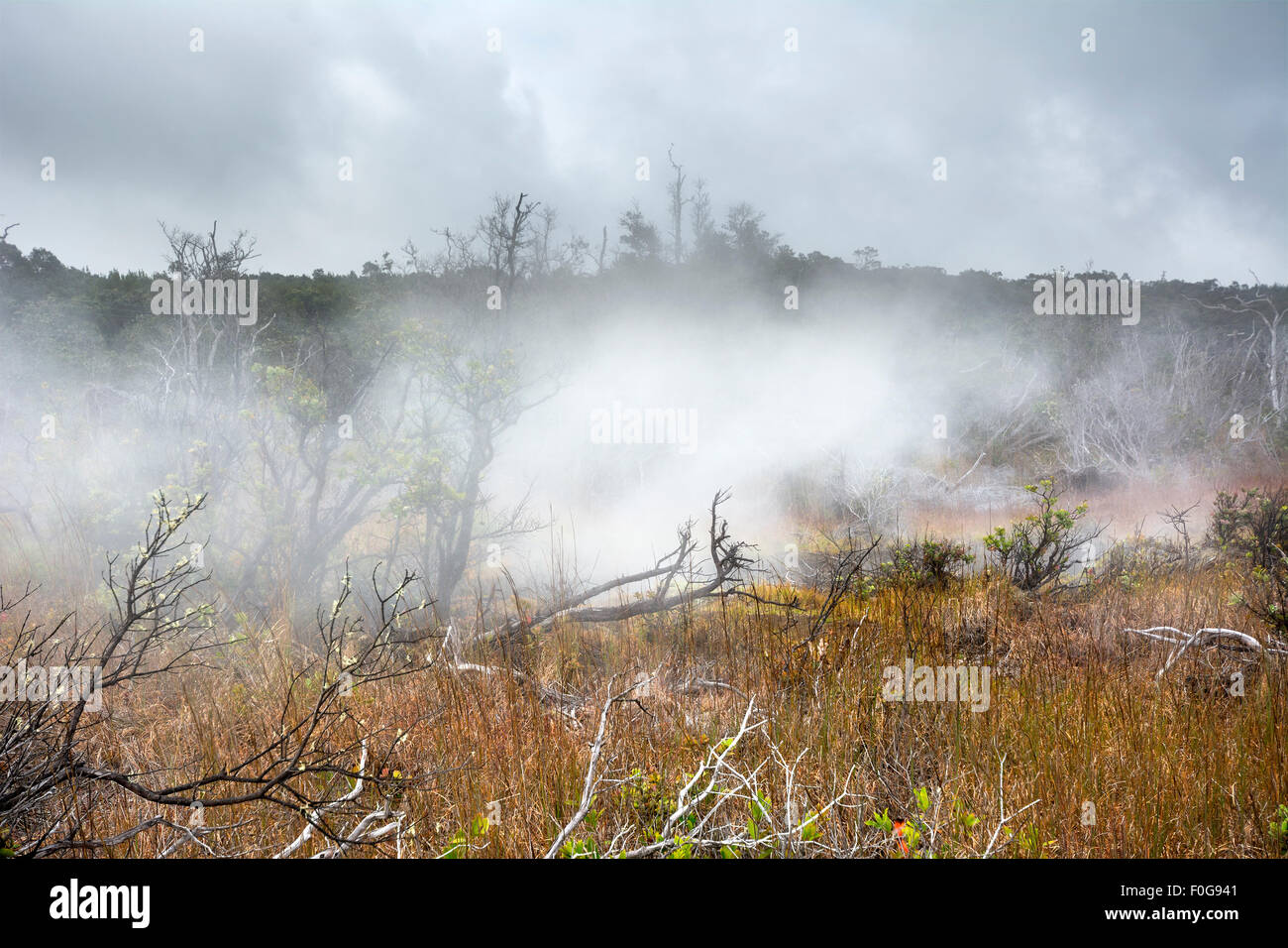 Natural steam rising from volcanic steam vents in the earth at Volcano ...