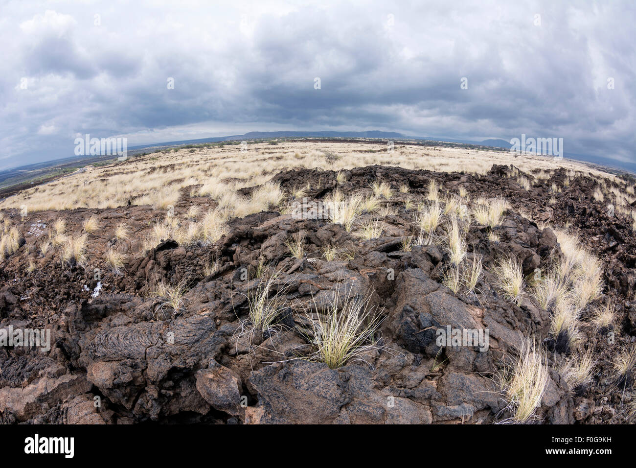 As years of dried lava rests untouched, grass has taken root and made ...