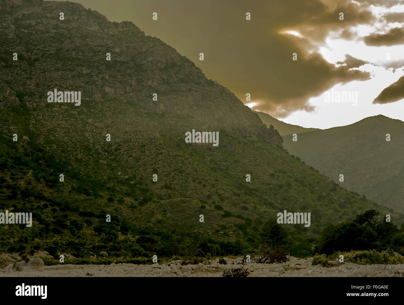 Guadalupe mountains national park hi-res stock photography and images ...