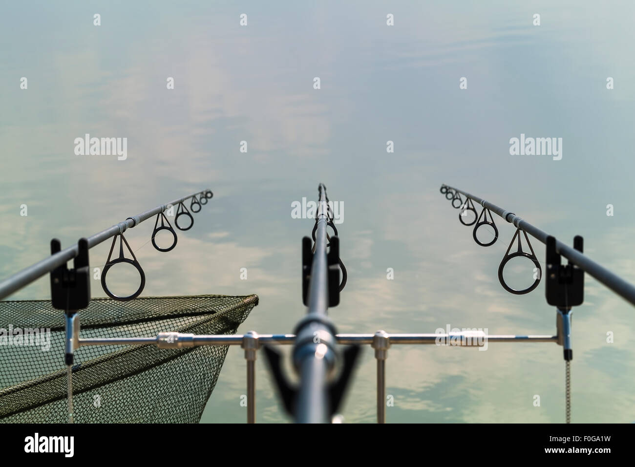 Carp fishing hi-res stock photography and images - Alamy