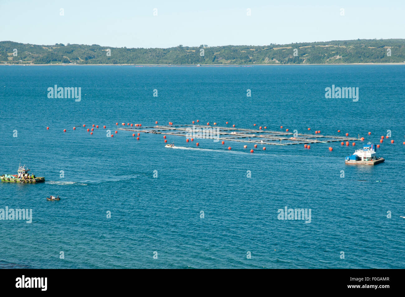 Fish Farm - Chiloe Island - Chile Stock Photo - Alamy