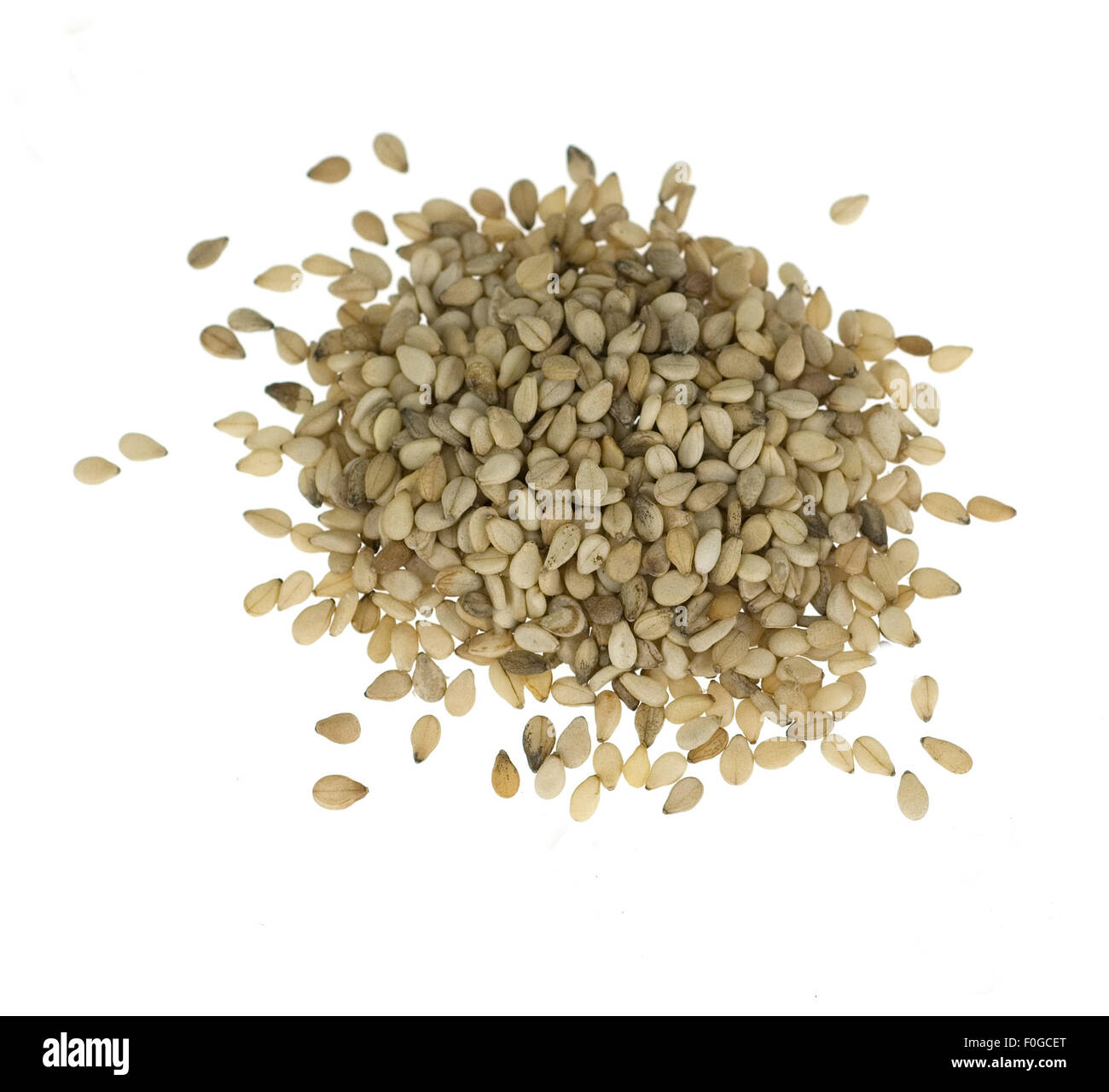 Sesam; Sesamum indicum Stock Photo - Alamy