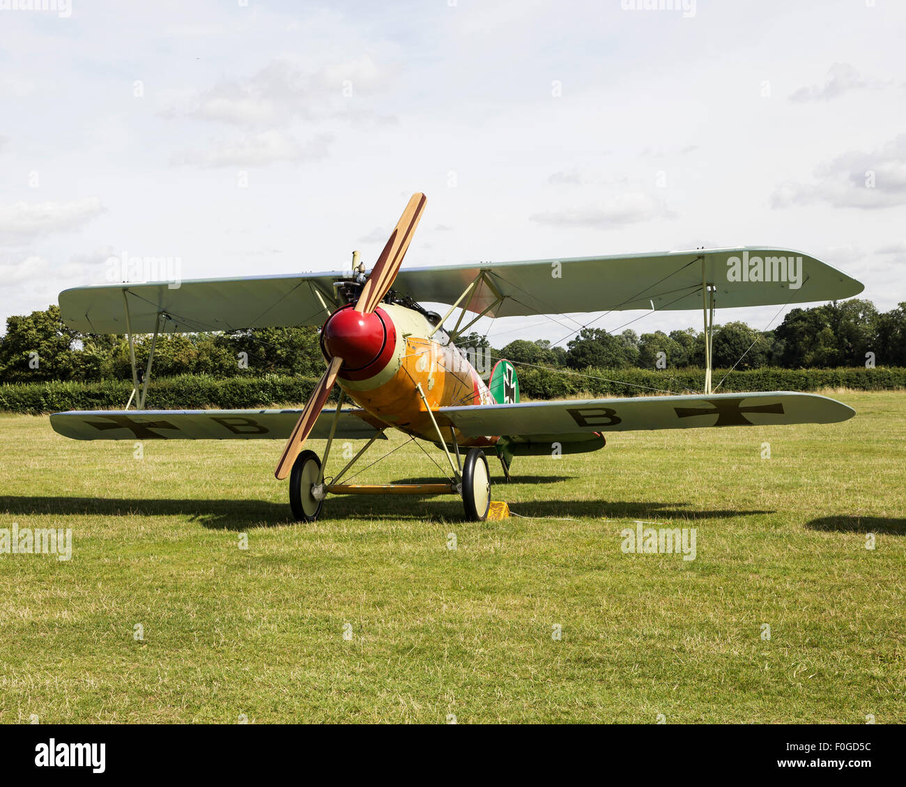 World war one albatros aircraft hi-res stock photography and images - Alamy