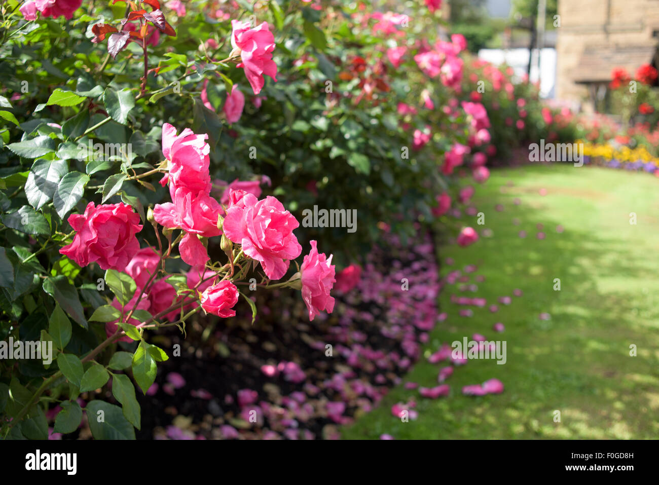 Bakewell in the Derbyshire Peak District,UK Stock Photo - Alamy