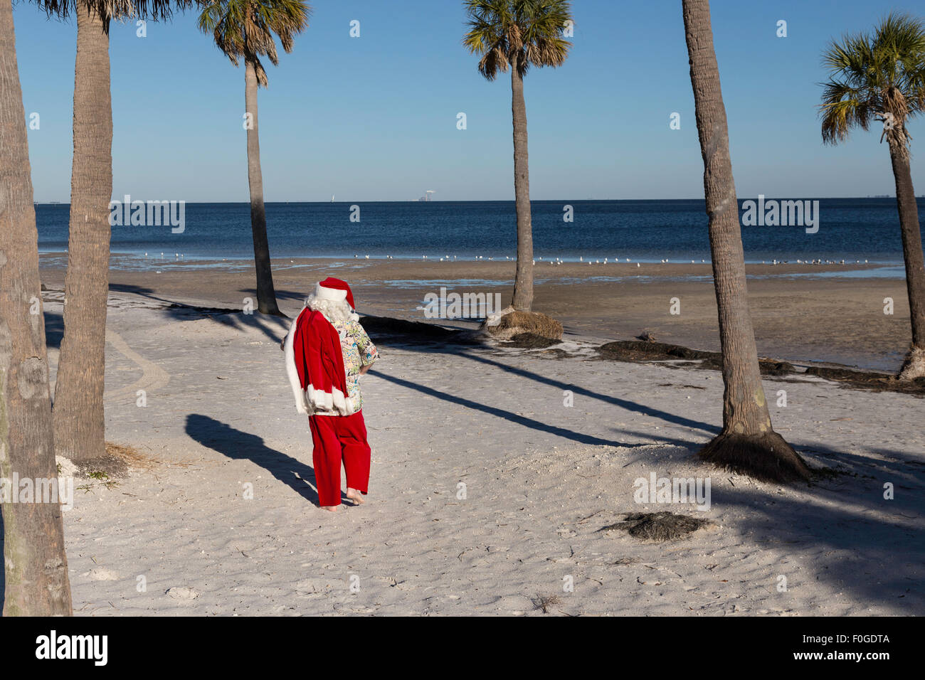 Santa Claus at the Beach on Vacation, Florida, USA Stock Photo - Alamy